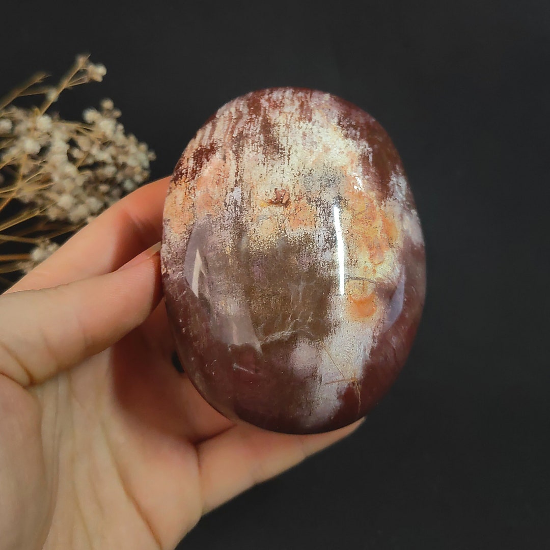 Petrified/fossilised Wood Pebble Large - Etsy