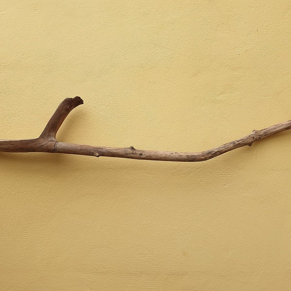 Driftwood Branch - Etsy