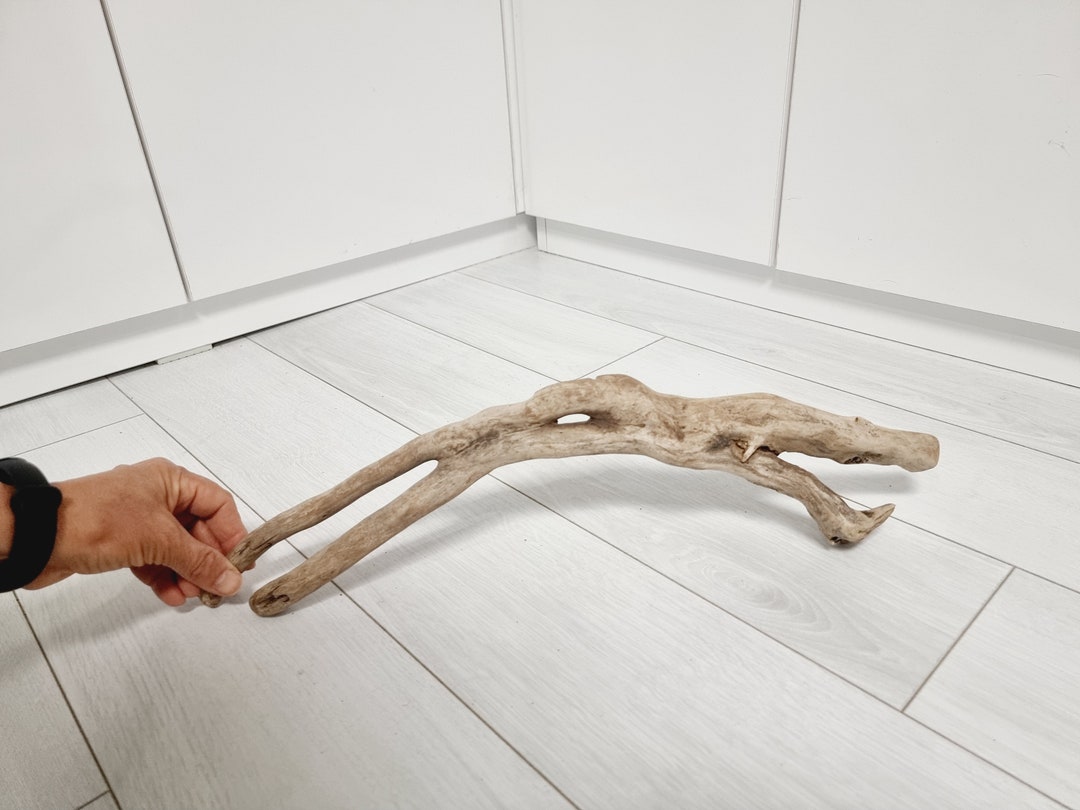 Driftwood 18.5", Perfect Unique Driftwood Branch, Beach Decor, Drift ...