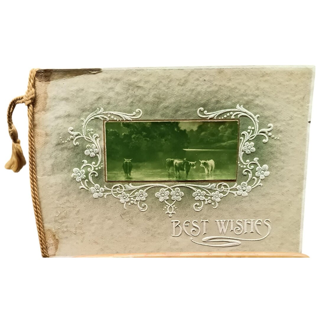 Antique 1908 Best Wishes Card With Embossed Green Design & Gold Cord ...