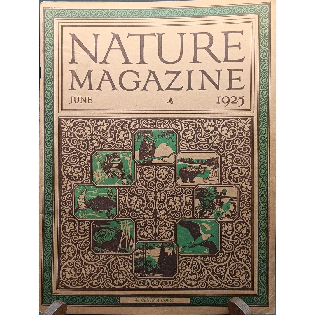 Antique 1925 Nature Magazine June Issue - Etsy