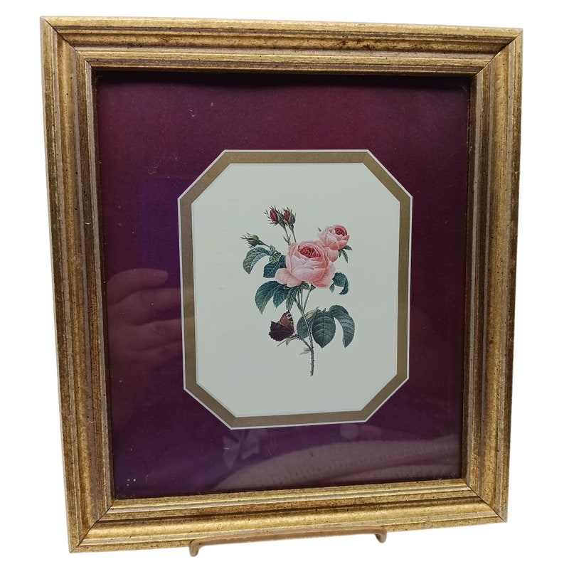 Framed Botanical Prints - Etsy