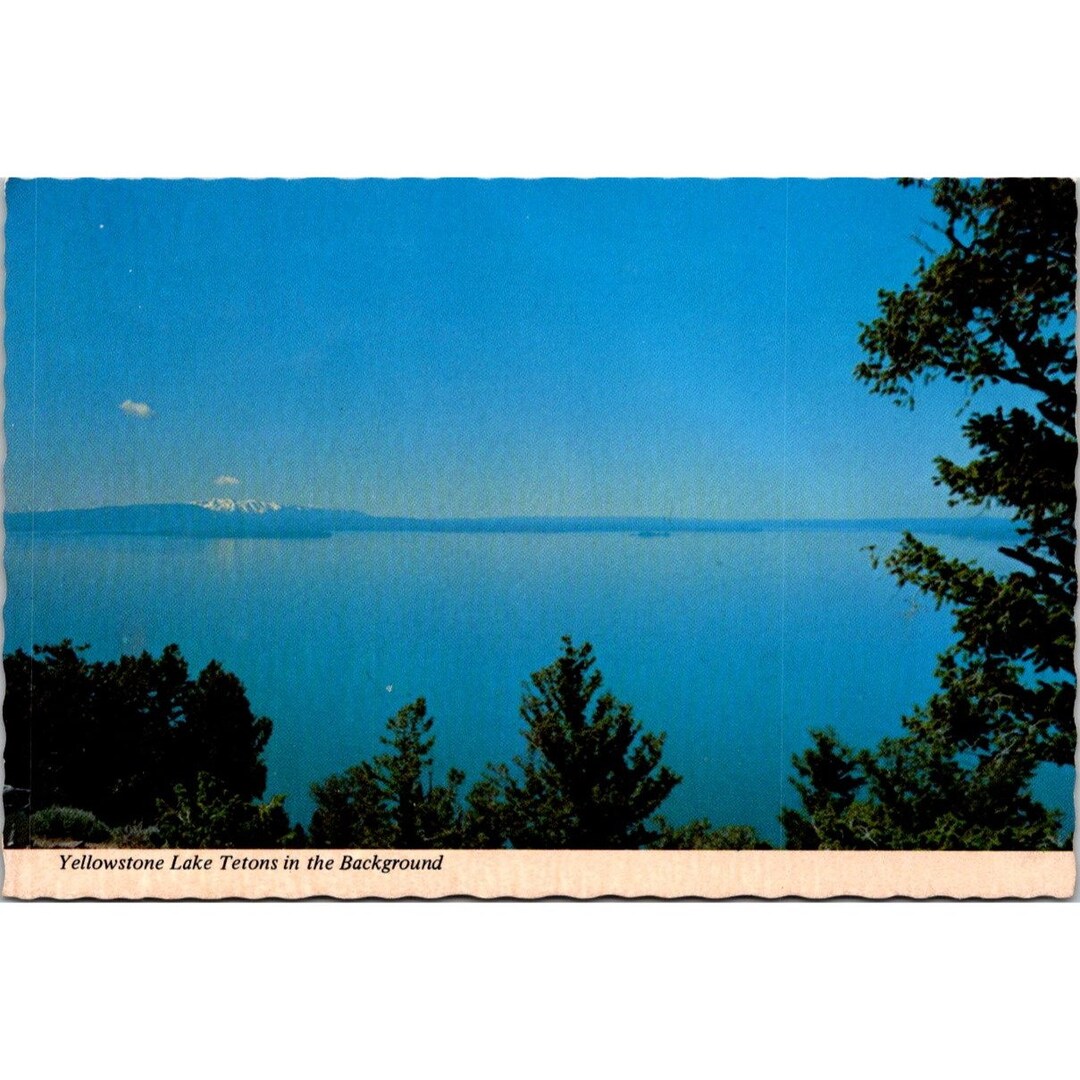 Vintage Chrome Yellowstone Postcard, Yellowstone Lake and Teton ...