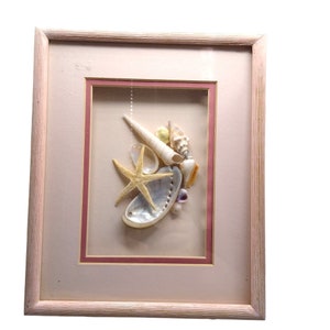 Genuine Pair Seashell Shadow Box Framed Art, Vintage Mauve Sea Shore ...