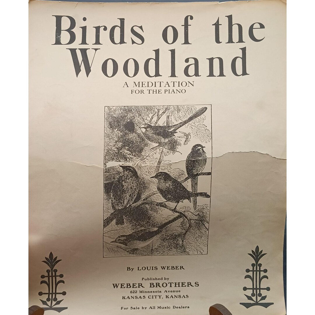 Birds of the Woodland Piano Sheet Music by Louis Weber Vintage ...