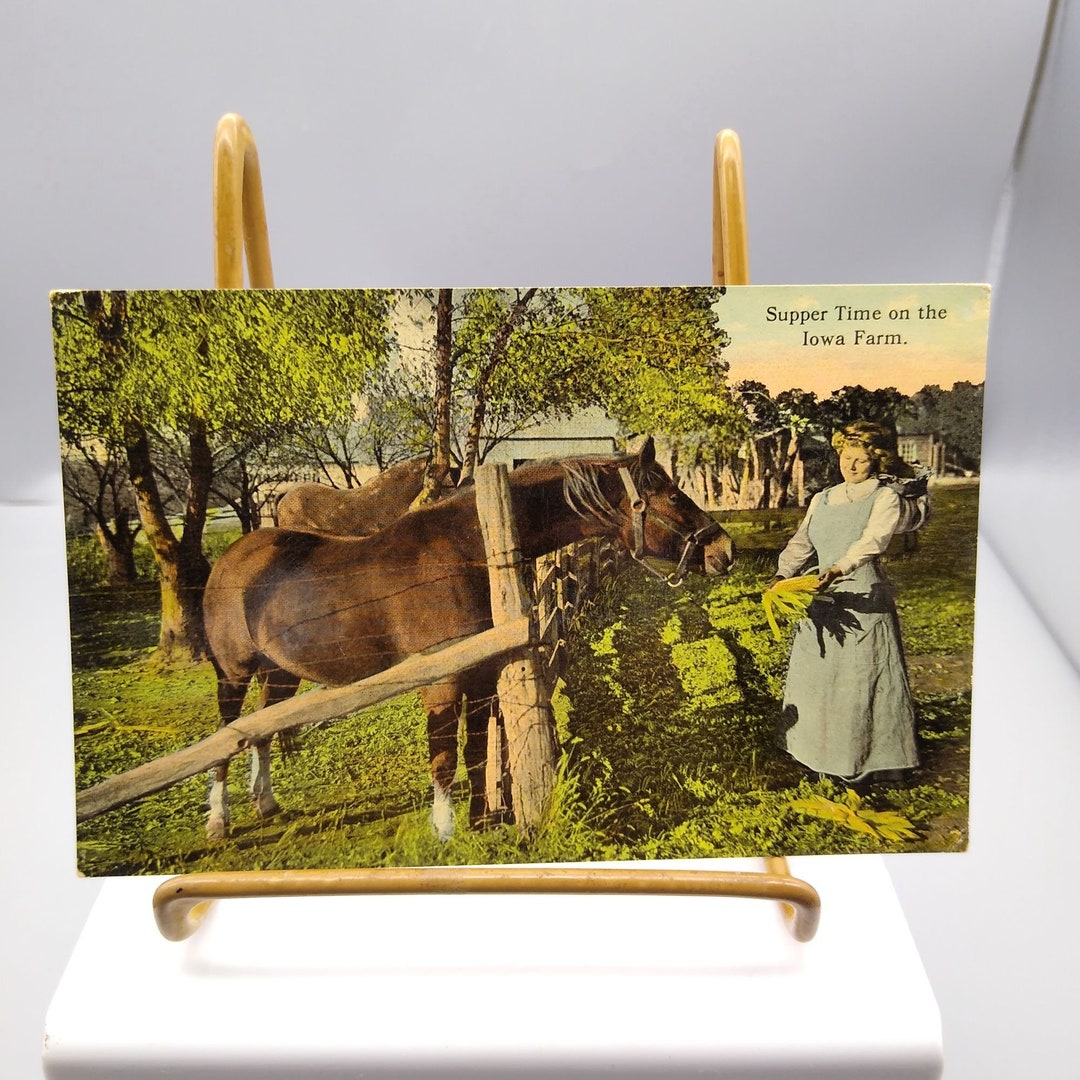 Antique Cook & Morgan Postcard, Supper Time on the Iowa Farm Scenes ...