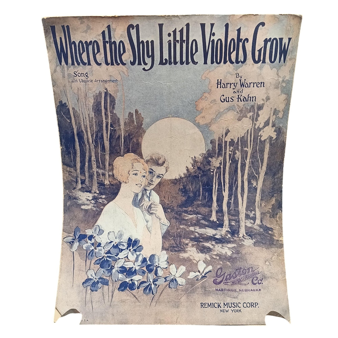 Vintage 1920s Sheet Music "where the Shy Little Violets Grow" by Harry ...