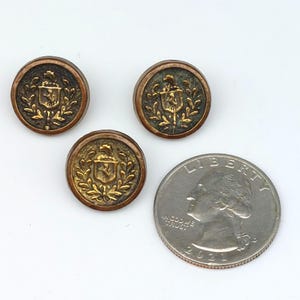 Antique Lion Crest Shield Uniform Buttons - Set of 3 - Etsy