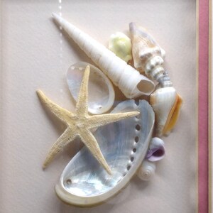Genuine Pair Seashell Shadow Box Framed Art, Vintage Mauve Sea Shore ...