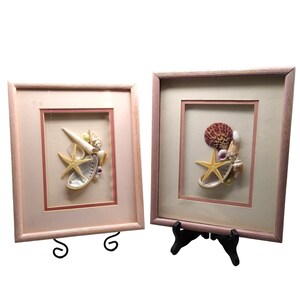 Genuine Pair Seashell Shadow Box Framed Art, Vintage Mauve Sea Shore ...