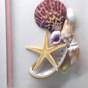 Genuine Pair Seashell Shadow Box Framed Art, Vintage Mauve Sea Shore ...