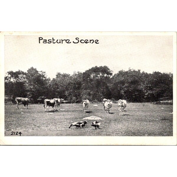 Pasture Scenes - Etsy