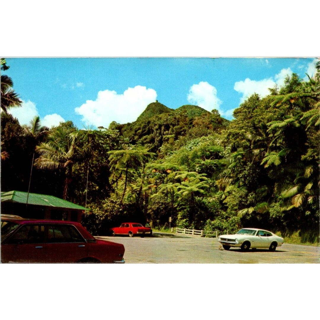 Vintage Chrome Puerto Rico Postcard, El Yunque Mountain Rain Forest ...