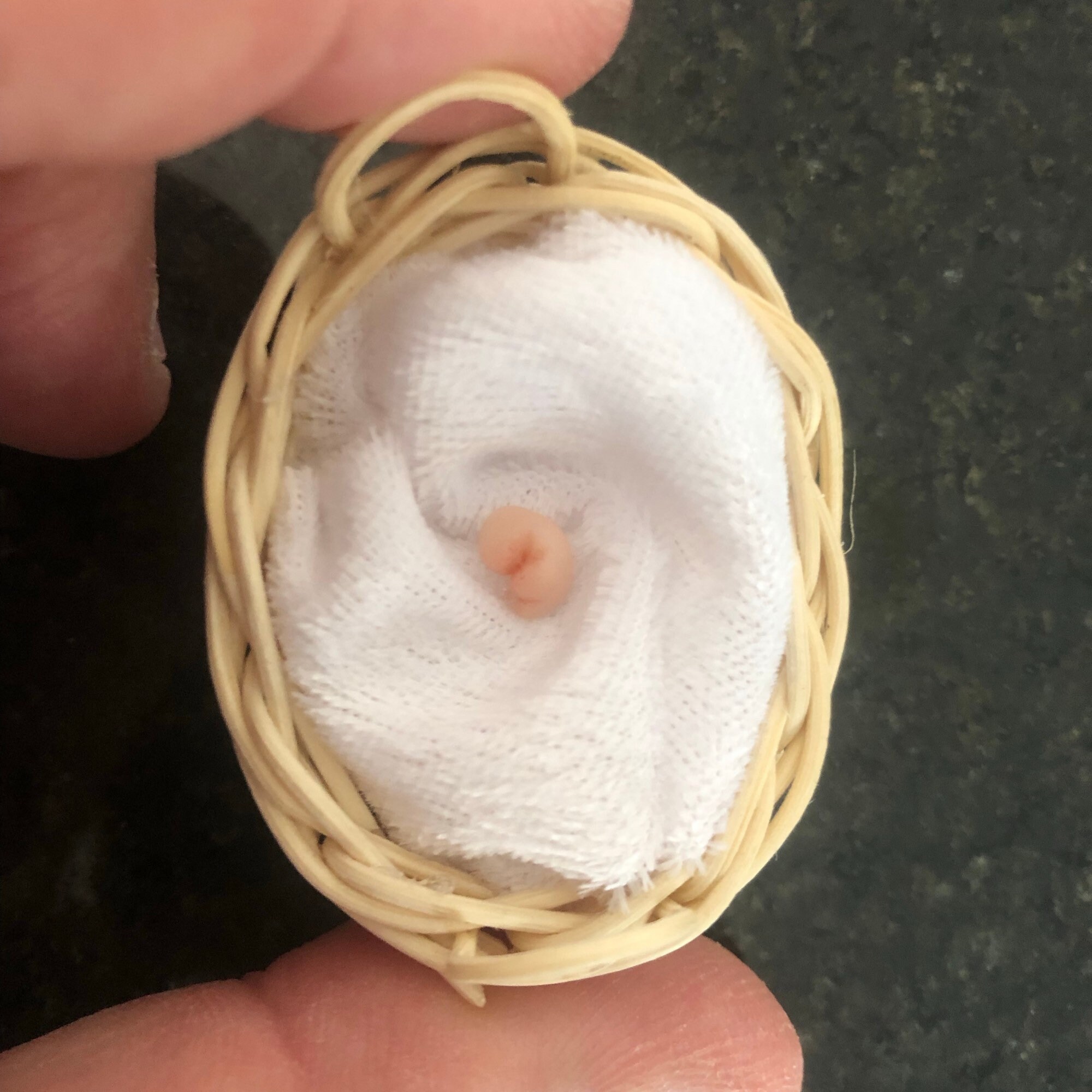 4-5 Weeks Sleeping Angel Baby 4-5 Weeks Gestation Foetus in - Etsy UK