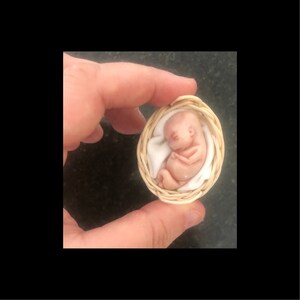11/12 Weeks Gestation Angel Baby Foetus in Wicker Basket Miscarriage ...