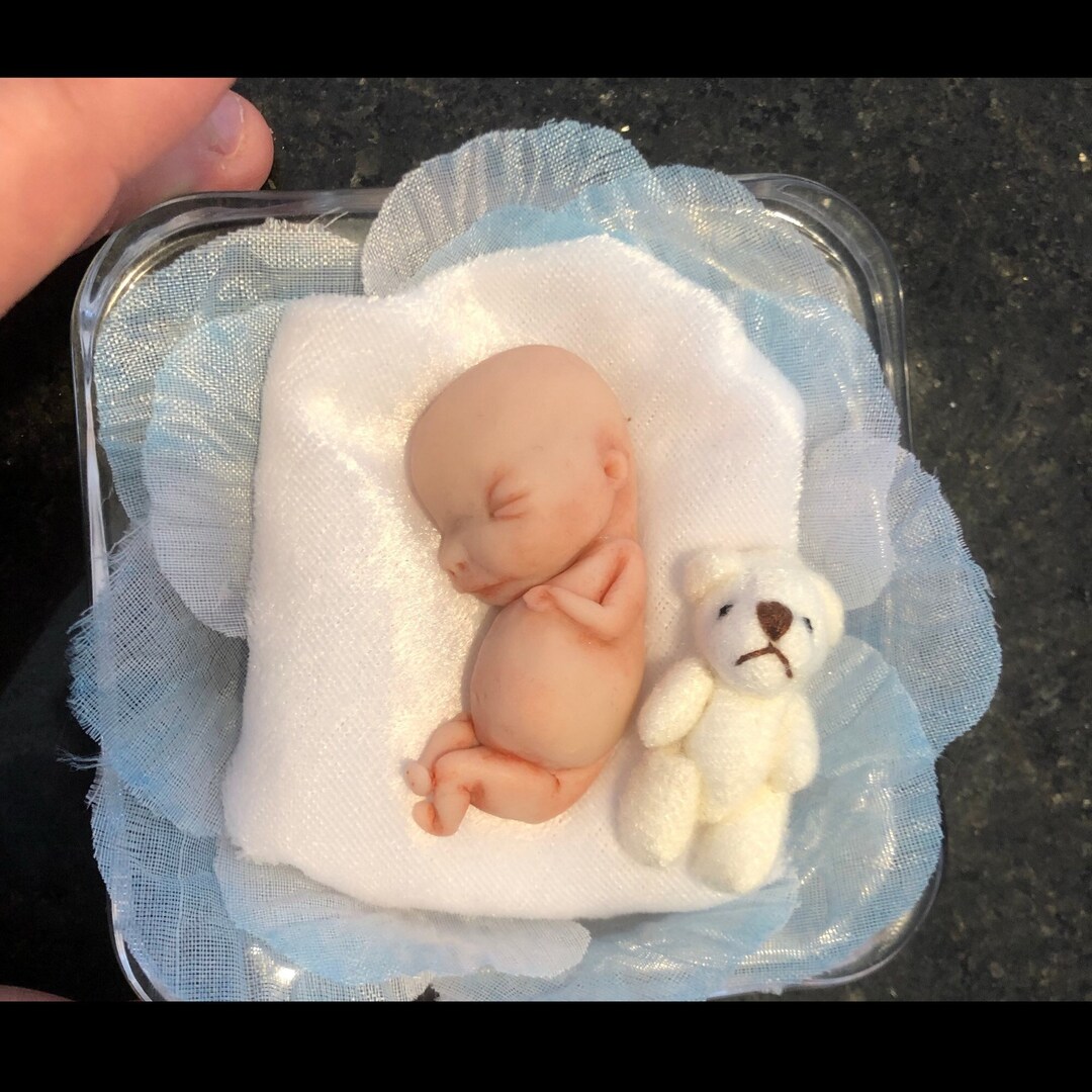 Angel Baby 12 Week Gestation Fetus Asleep on a Bed of Blue and White ...
