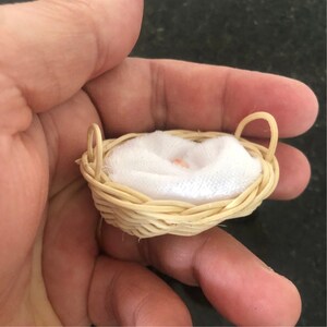 6/7 Week Gestation Sleeping Angel Baby Foetus, Miscarriage Pregnancy ...