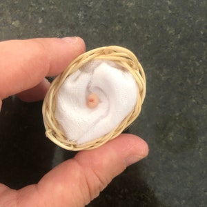 6/7 Week Gestation Sleeping Angel Baby Foetus, Miscarriage Pregnancy ...