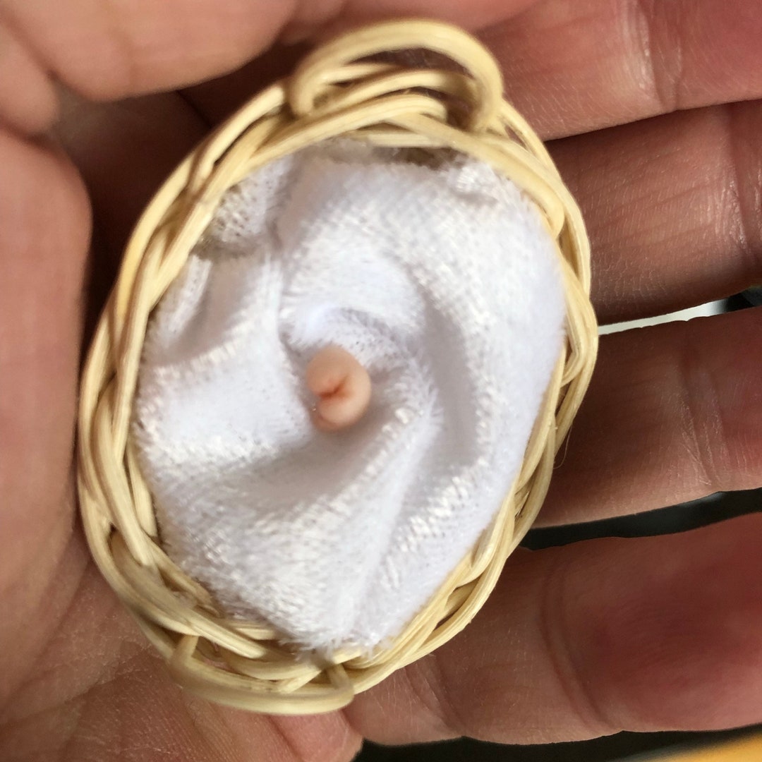 6/7 Week Gestation Sleeping Angel Baby Foetus, Miscarriage Pregnancy ...