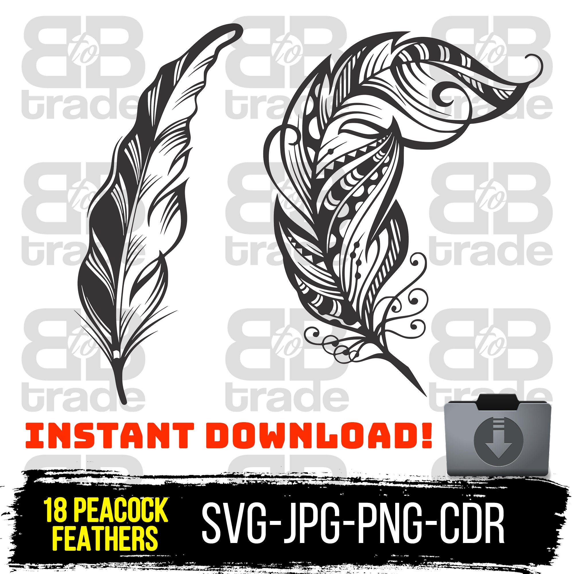 Feather Svg Feathers Svg Peacock Feathers Svg Feathers Png - Etsy