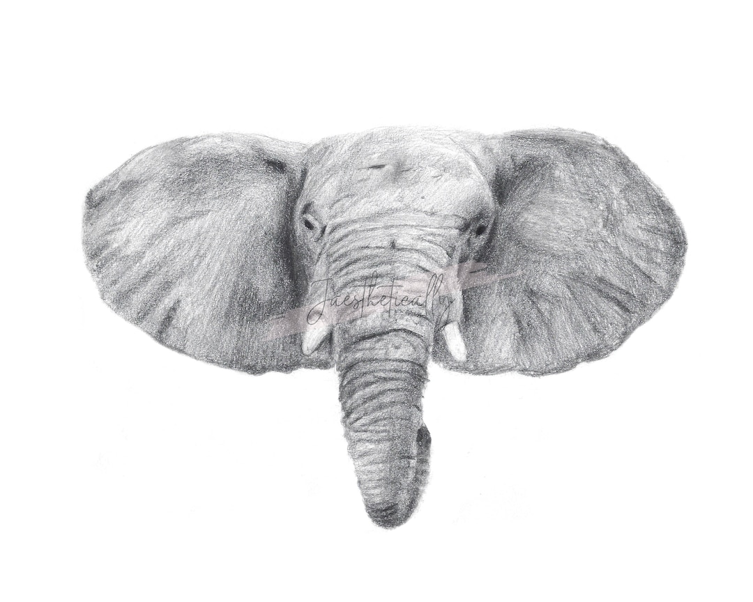 Elephant Graphite Pencil Drawing Poster (digital Download) - Etsy
