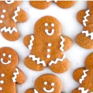 Homemade Decorated Gingerbread Cookies (dozen) - Etsy