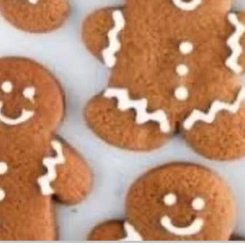 Homemade Decorated Gingerbread Cookies (dozen) - Etsy