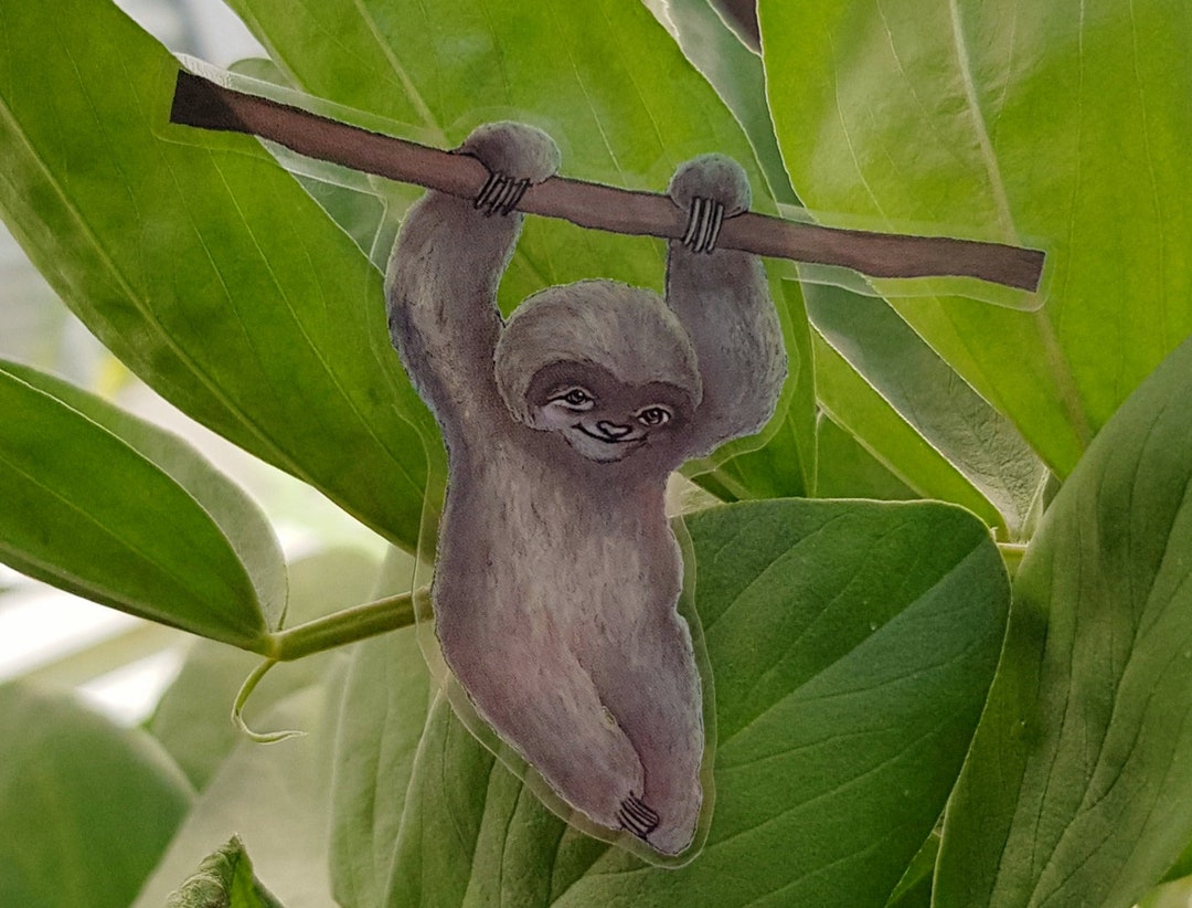 Sloth Vinyl Stickers, Laptop Decals, Waterproof Vinyl Stickers, Sloths ...