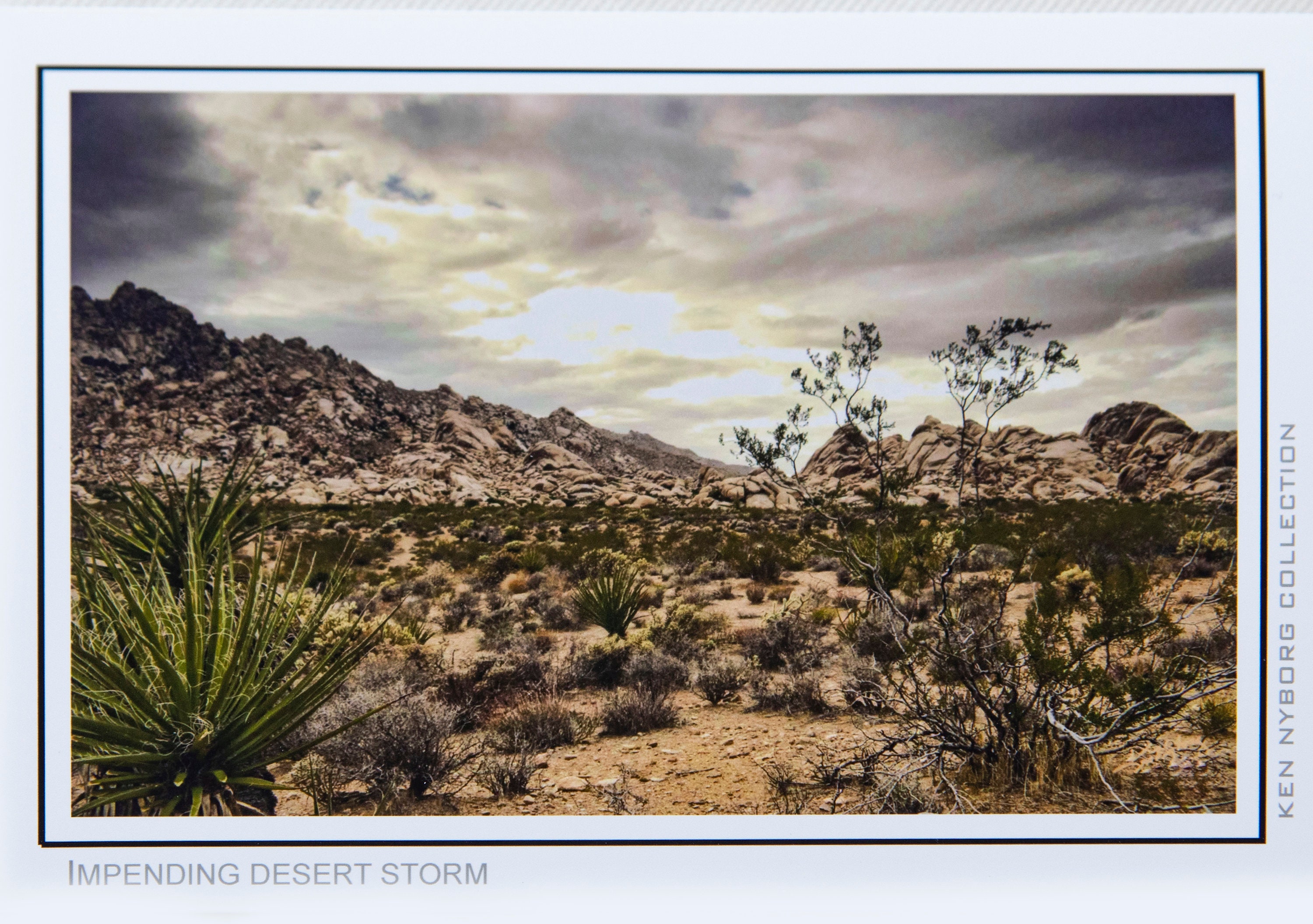 Beautiful Desert Greeting Cards , 2-piece Box Set of 8 Cards With ...