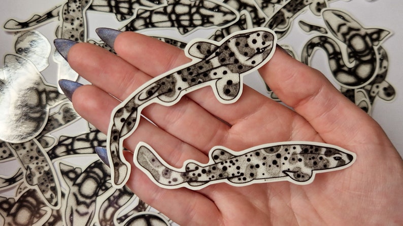 4 Catshark Glow in the Dark Stickers Set, Sealife Sticker, Illustrated ...