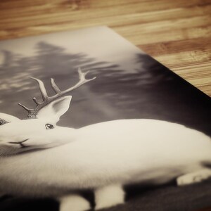 Vintage Jackalope Art Print, Surreal Hare Hybrid Wall Decor, Mystical ...
