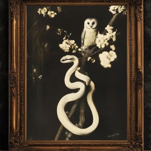 Snake Print - Etsy