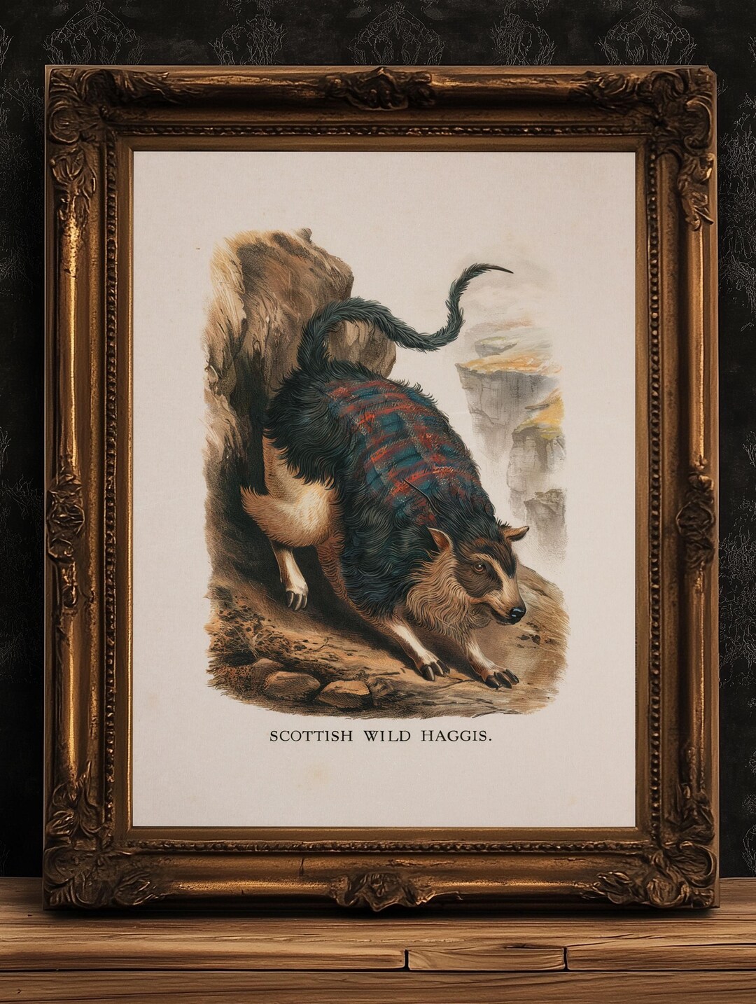 Scottish Wild Haggis Vintage Style Digital Art Print With Tartan Fur ...