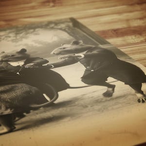 The Dance of Rats, Vintage Victorian Photograph, Wall Decor Art Print ...