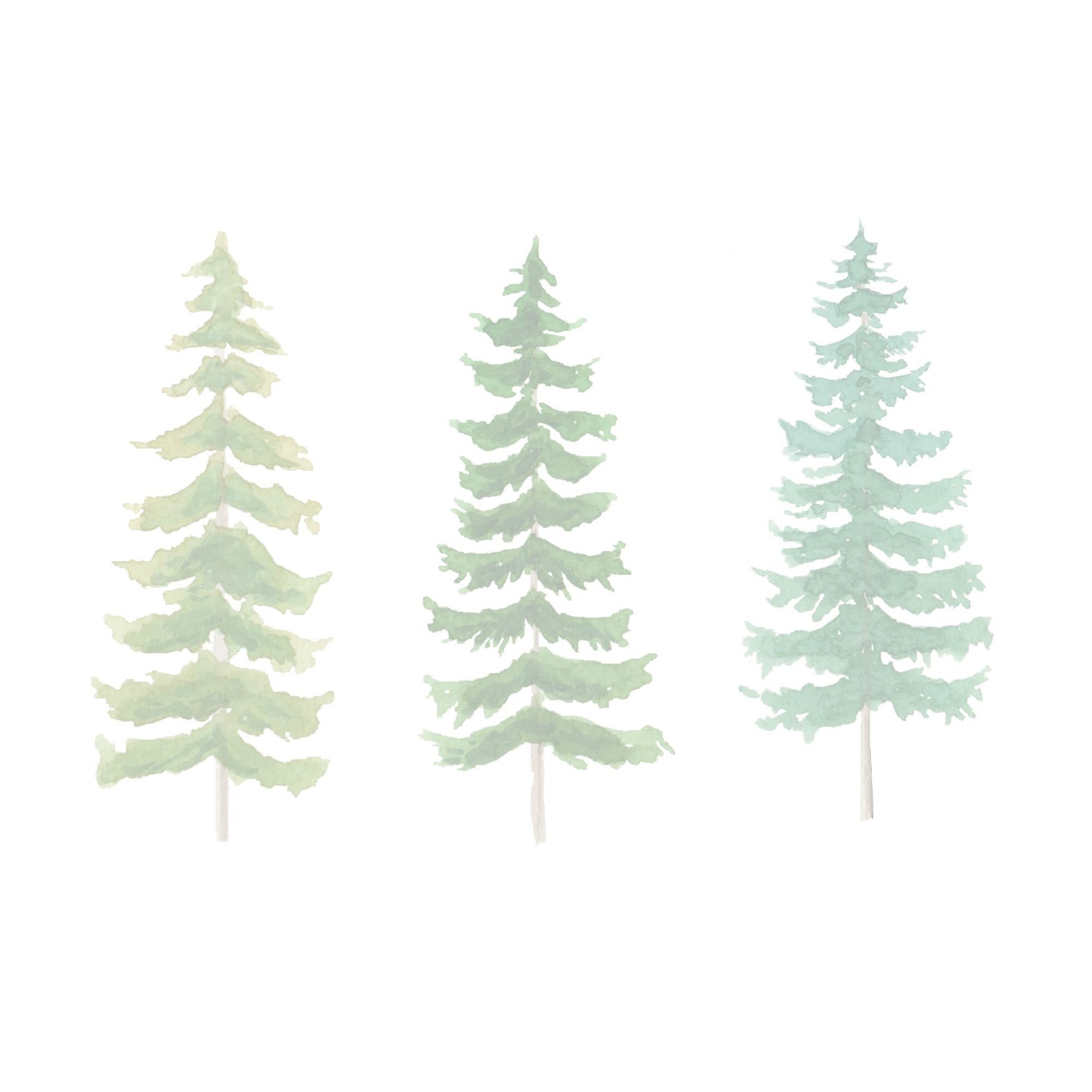 Watercolor Pine Tree Clipart, Instant Download,tree Clipart, Fir ...