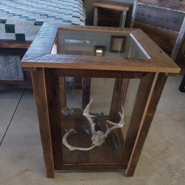 Taxidermy Display - Etsy