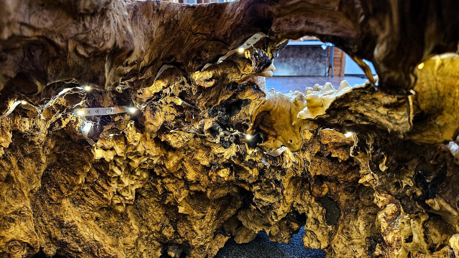 Buckeye Burl Coffee Table From California - Etsy