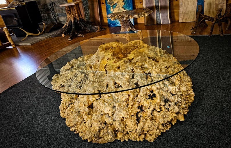 Buckeye Burl Coffee Table From California - Etsy