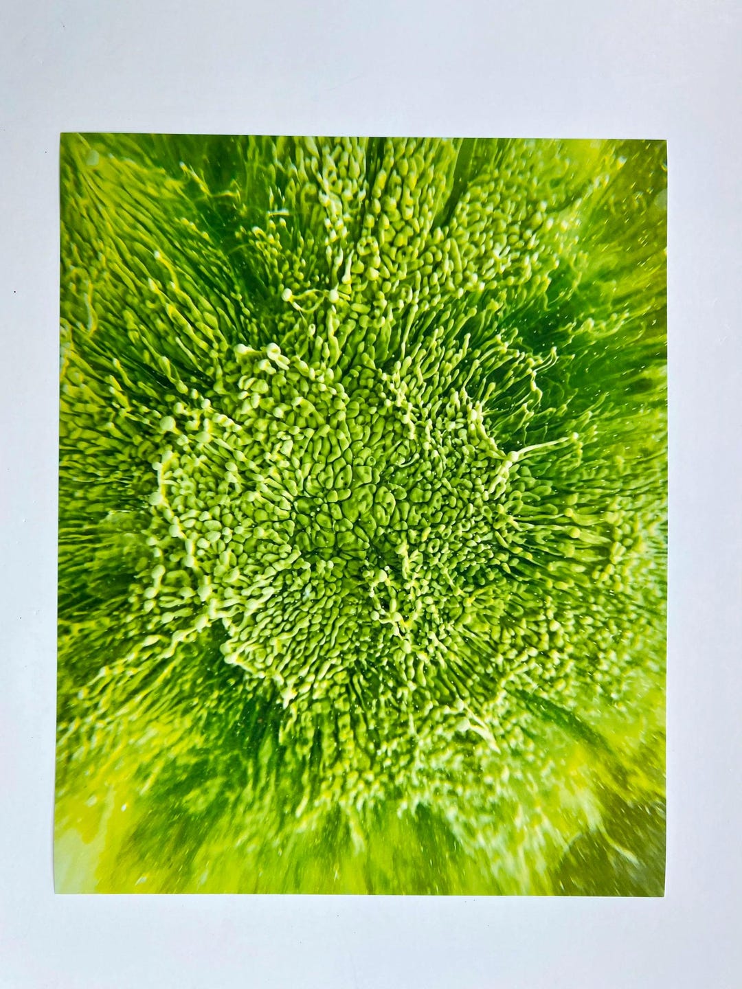Bespattered Facade 8" X 10" Resin Petri Giclee Print #3 - Etsy