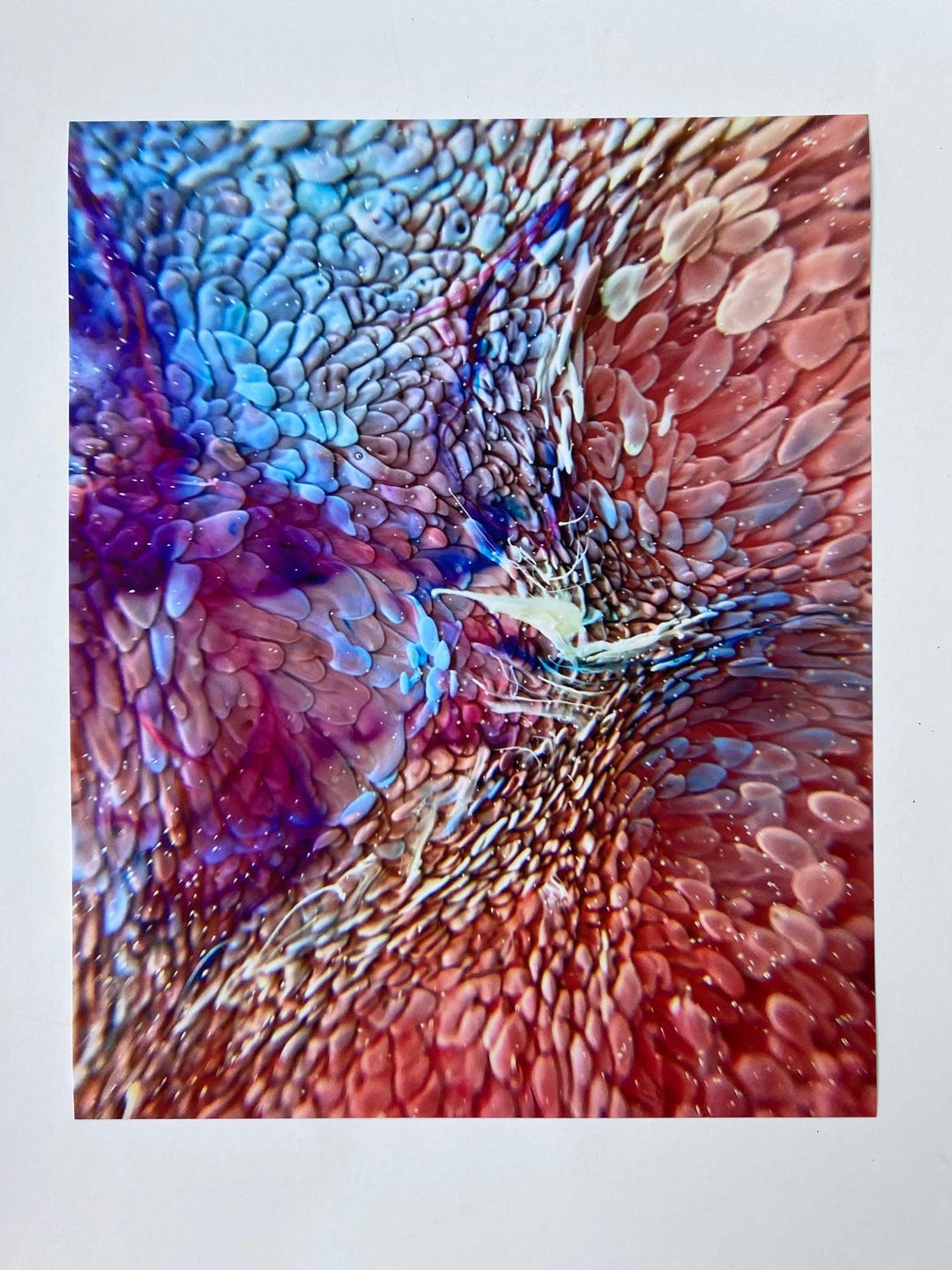 Bespattered Facade 8" X 10" Resin Petri Giclee Print #8 - Etsy