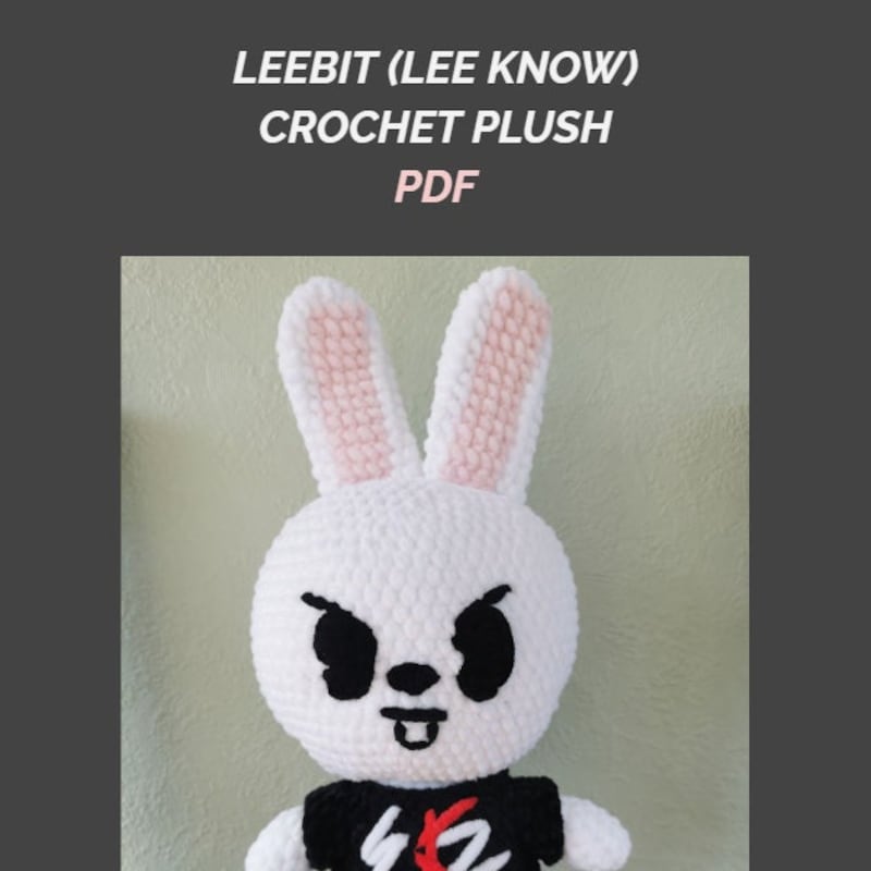 Leebit Plush Skzoo - Etsy