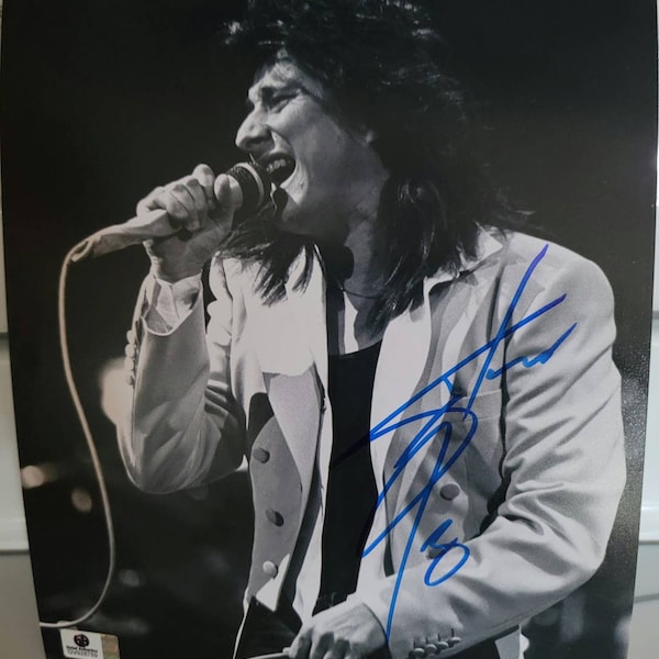Steve Perry - Etsy