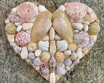 Seashell Heart | Etsy