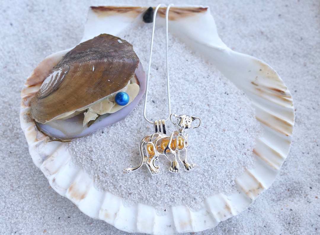 Disney Cage, Necklace & Pearl DIY Kit, Simba the Lion King Cage Which ...