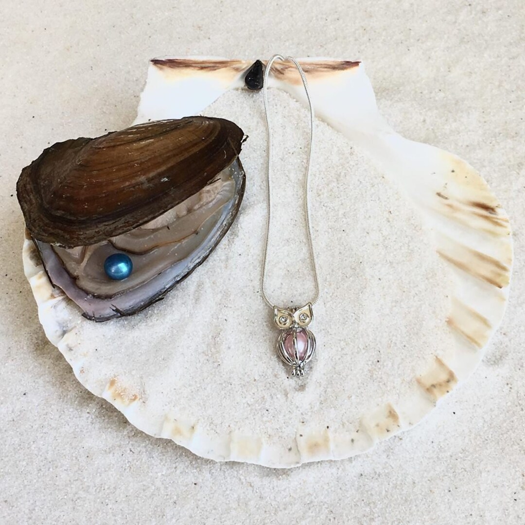 Disney Cage, Necklace & Pearl DIY Kit, Winnie the Pooh Owl Inspired ...