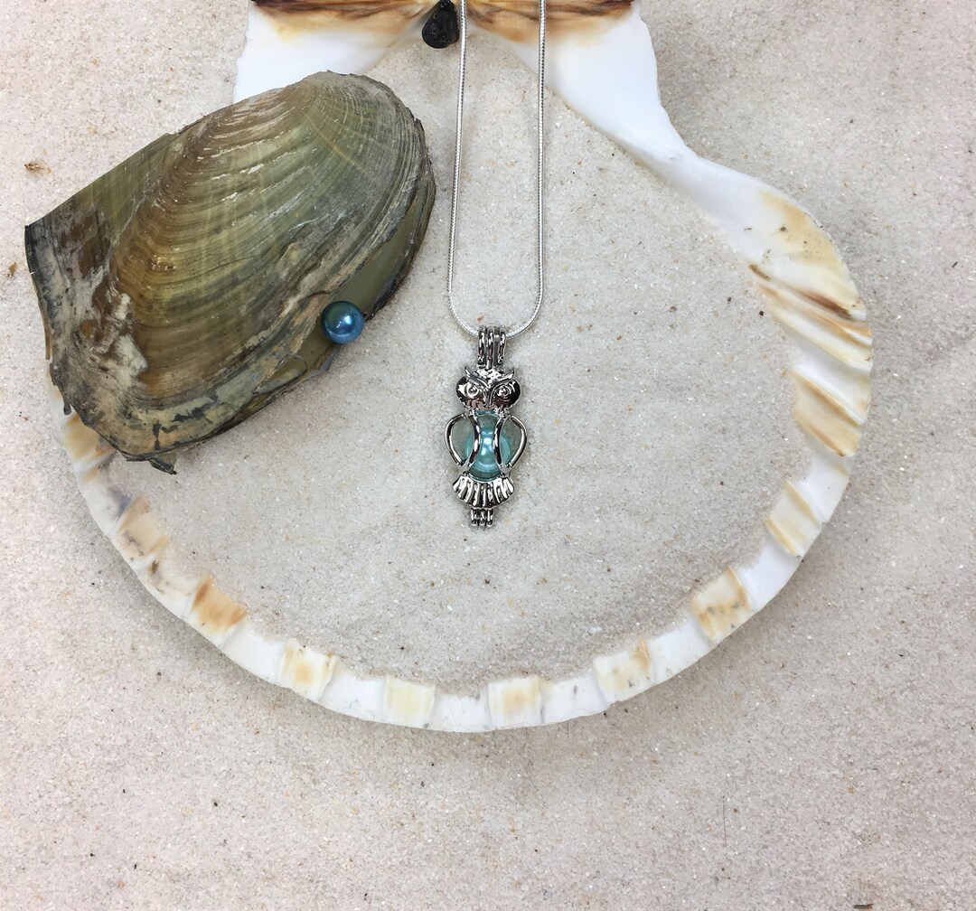 Disney Cage, Necklace & Pearl DIY Kit, Winnie the Pooh Owl Inspired ...