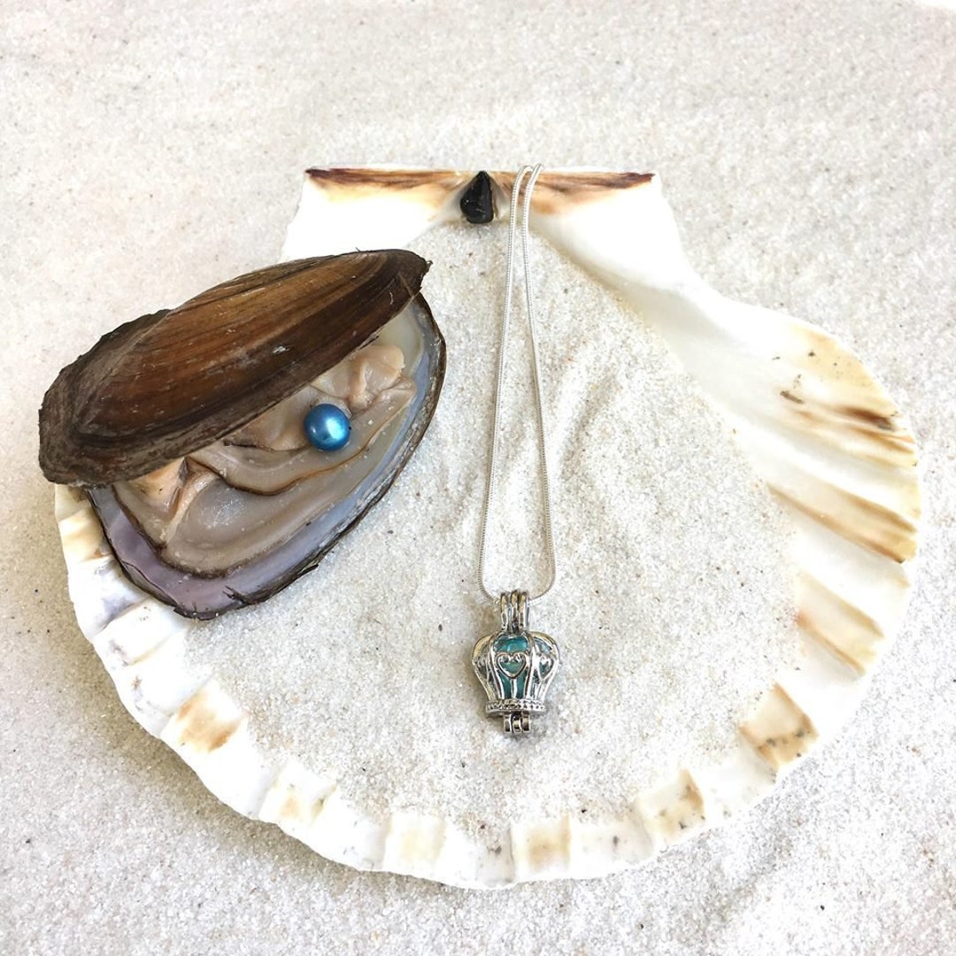 Disney Cage, Necklace & Pearl DIY Kit, Disney Princess Crown Inspired ...