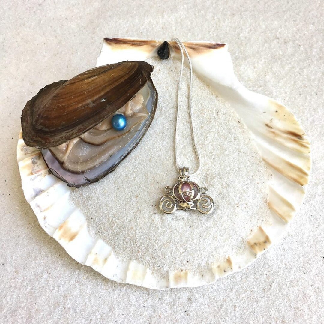 Disney Cage, Necklace & Pearl DIY Kit, Cinderella Carriage Inspired ...