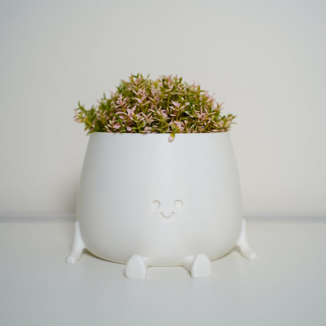 Smiley Planter Gift Planter Pot Plant Desk Planter Indoor Cute Plant ...