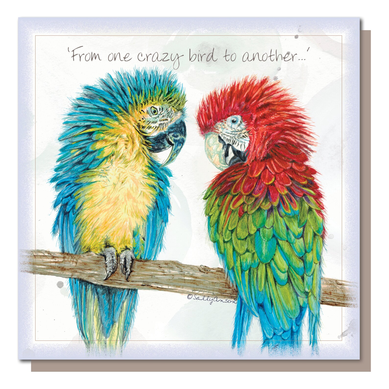 9 Pack Assorted Blank Exotic Wildlife Cards - Etsy